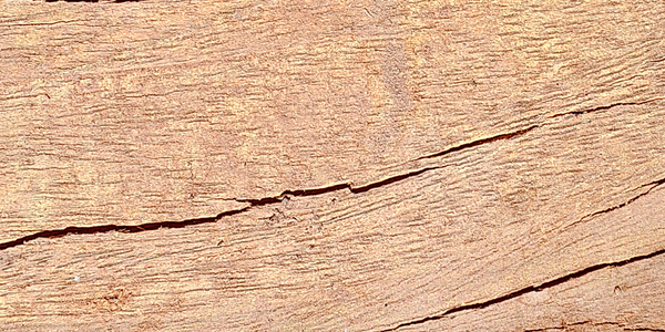 A Step-by-Step Guide to Repairing a Split Wood Table Top: Bring Your F ...